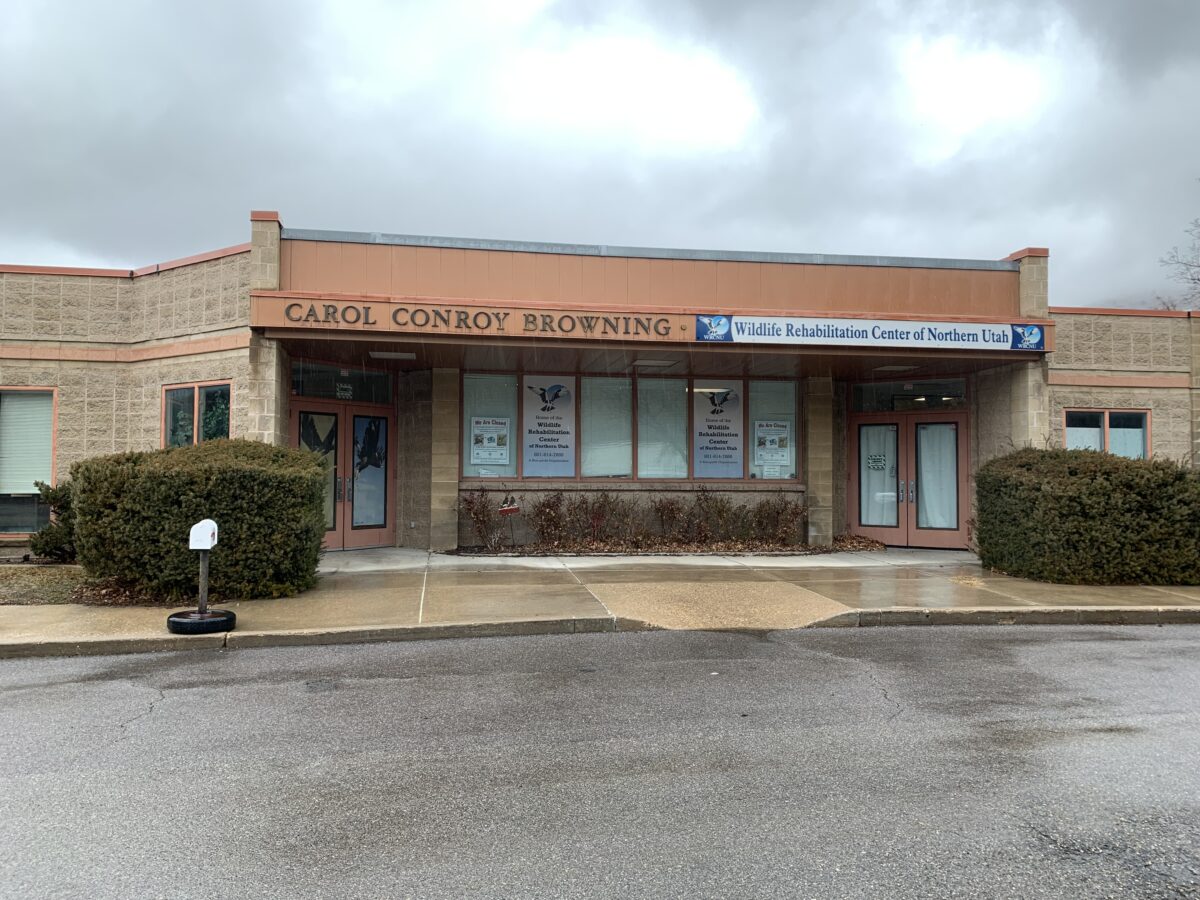 Eviction deadline looms as Ogden wildlife center scrambles to ready ...